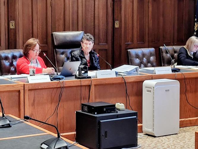 Democrat forced out as chair of EFA oversight panel | State ...