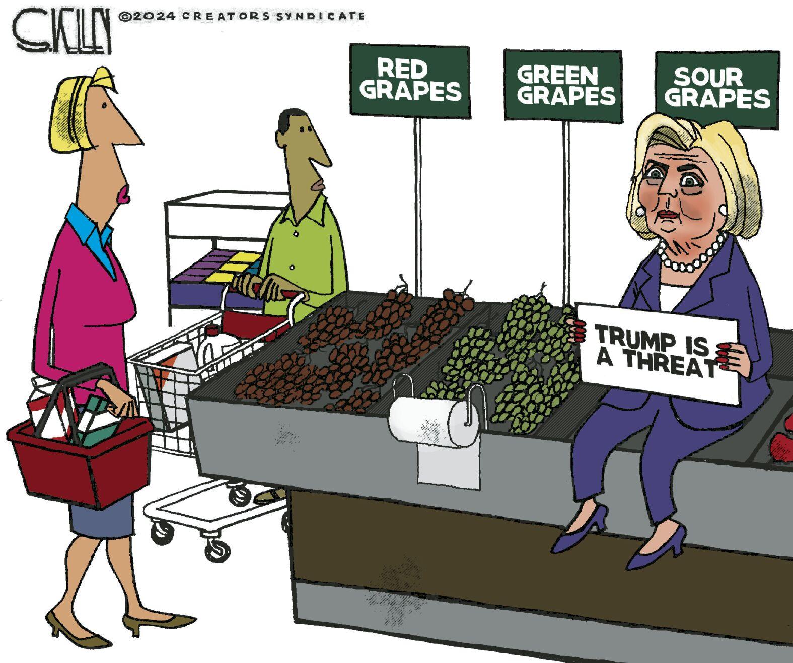Editorial Cartoon: Steve Kelley | Cartoons | unionleader.com