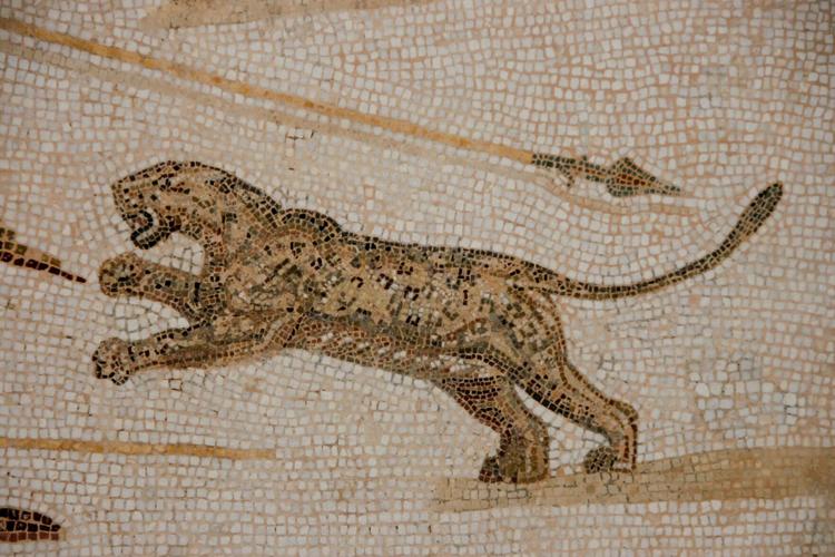 Bite marks reveal gladiator's fatal encounter with a lion in ancient ...