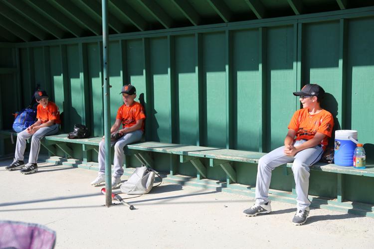 Little League returns, June 19 | Sports | unionleader.com