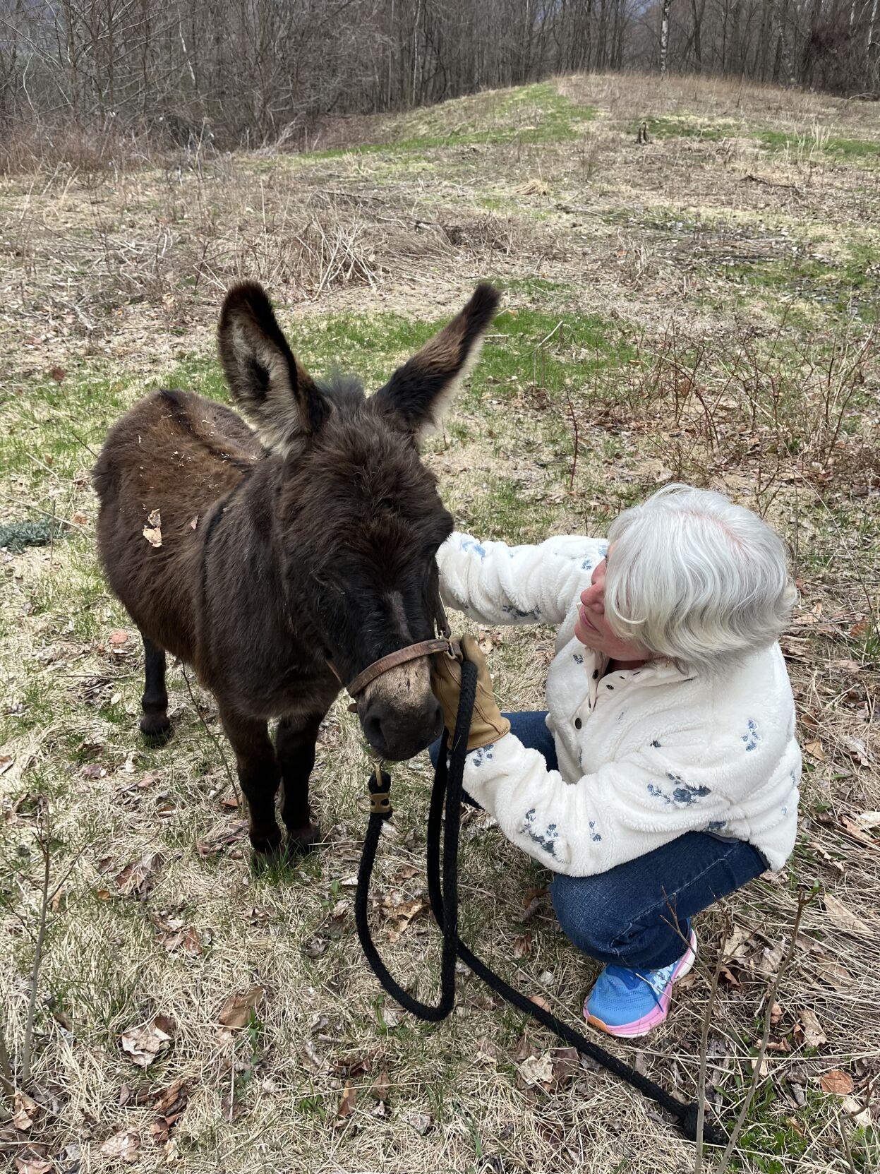 Her pet donkey went missing. Neighbors combed the woods for days to ...