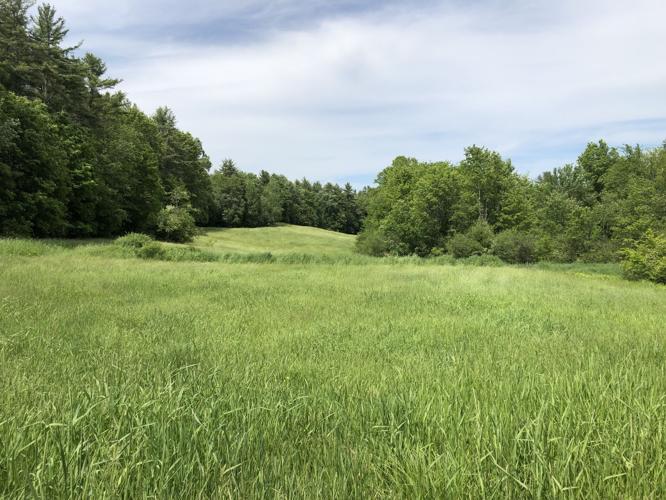 Cox family conserves an additional 36 acres of Tuckaway Farm ...