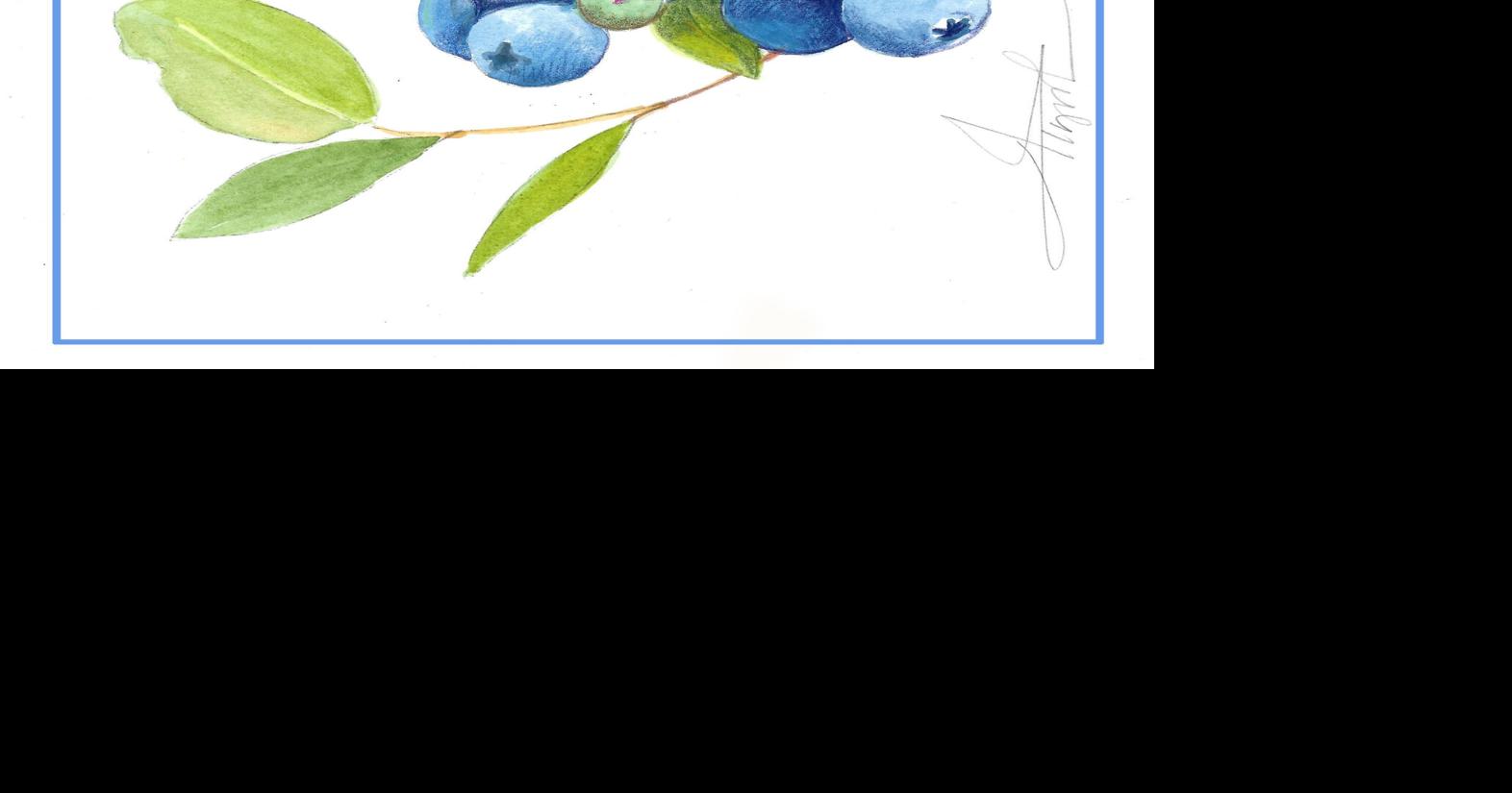 The Outside Story: What makes blueberries so very blue? | Outdoors ...