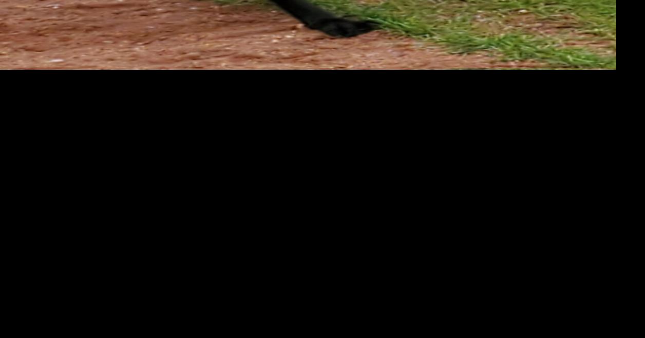 Casey the Bat Dog returns home with the help of Granite State Dog ...