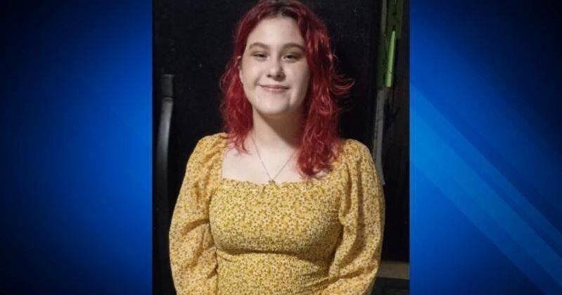 FBI joins search for missing Massachusetts girl Colleen Weaver | Public ...