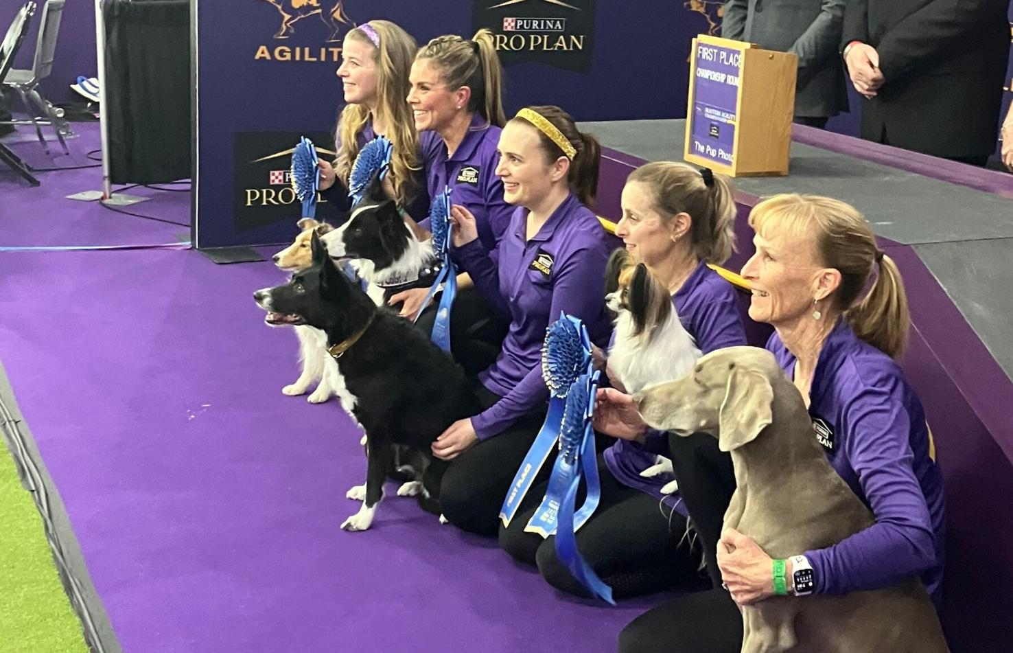 Westminster dog show 2025: Vanish the border collie wins agility; NH ...