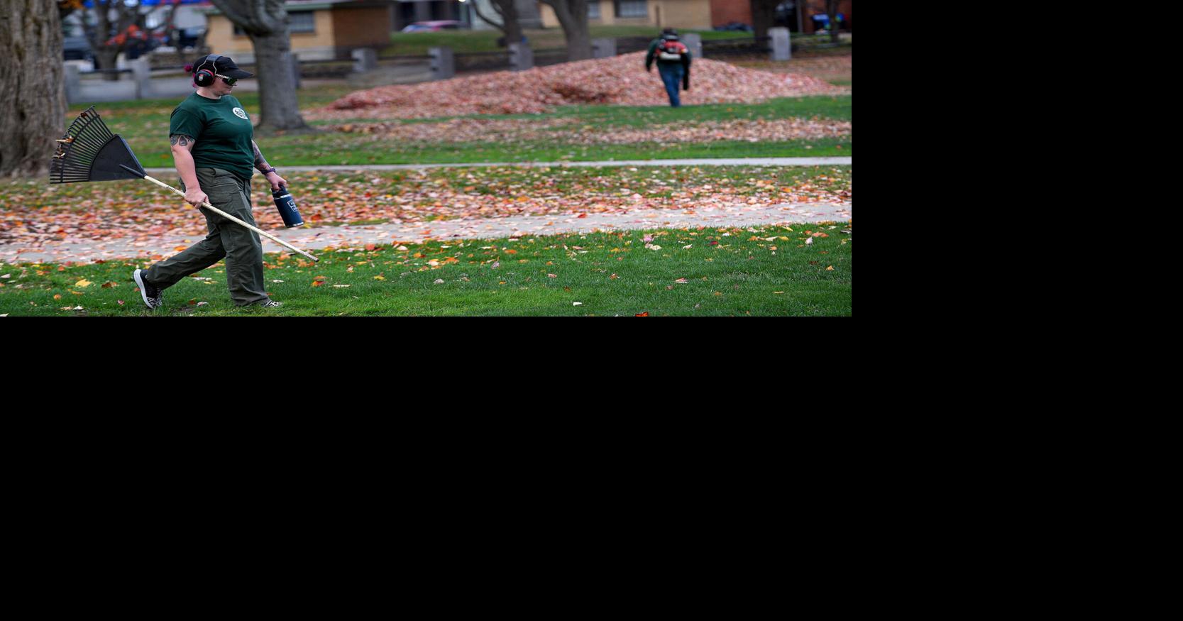 Leaf buster | Uploaded Photos | unionleader.com