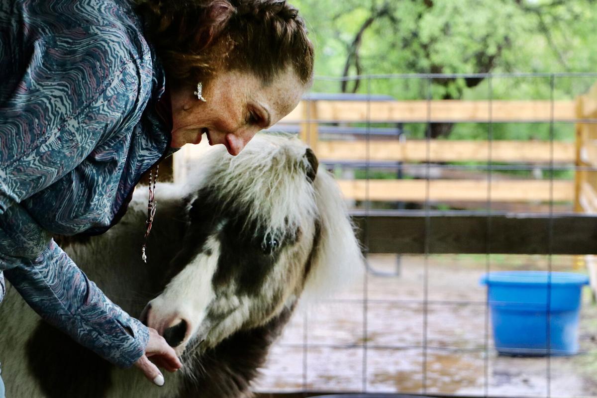 Horse barn tour in Hollis | Animals | unionleader.com