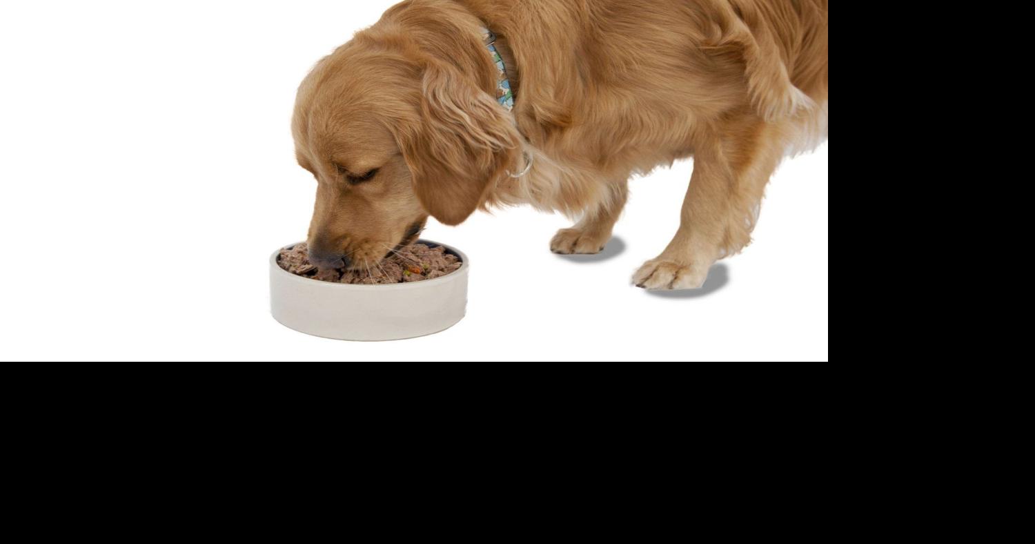 Exeter company launches refrigerated dog food line | Business ...