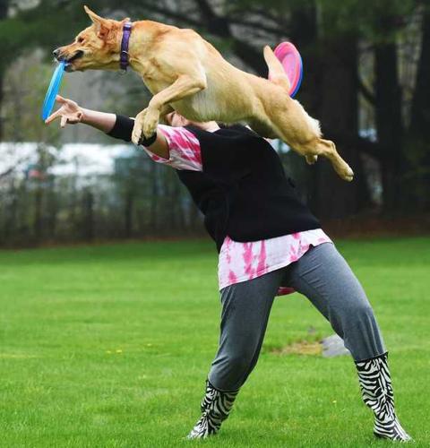 Hopkinton residents organize Disc Dogs demonstration to raise funds for ...