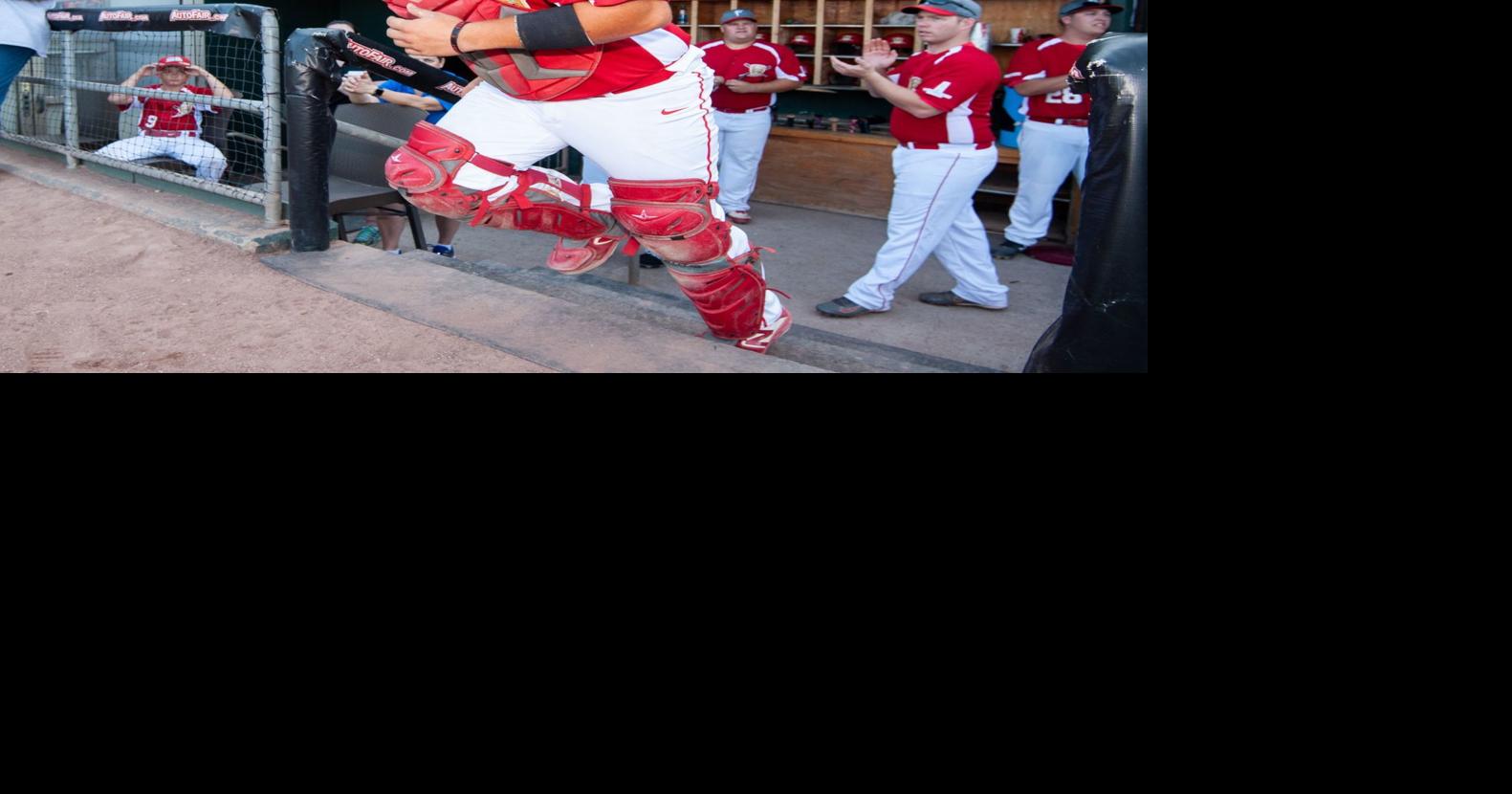 Fire, Police to rekindle baseball rivalry in CHaD Battle of the Badges ...