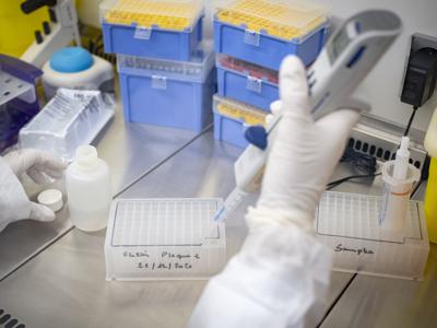 Wastewater tests show COVID infections surging, but pandemic fatigue ...