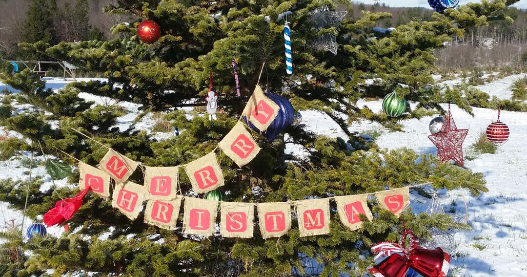 Miracle Acres Farm: Plan to hang out and fun around the farm | Holiday ...