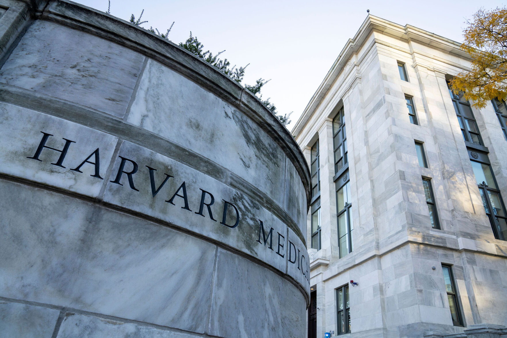Goffstown man pleads guilty in Harvard Medical School body parts case ...