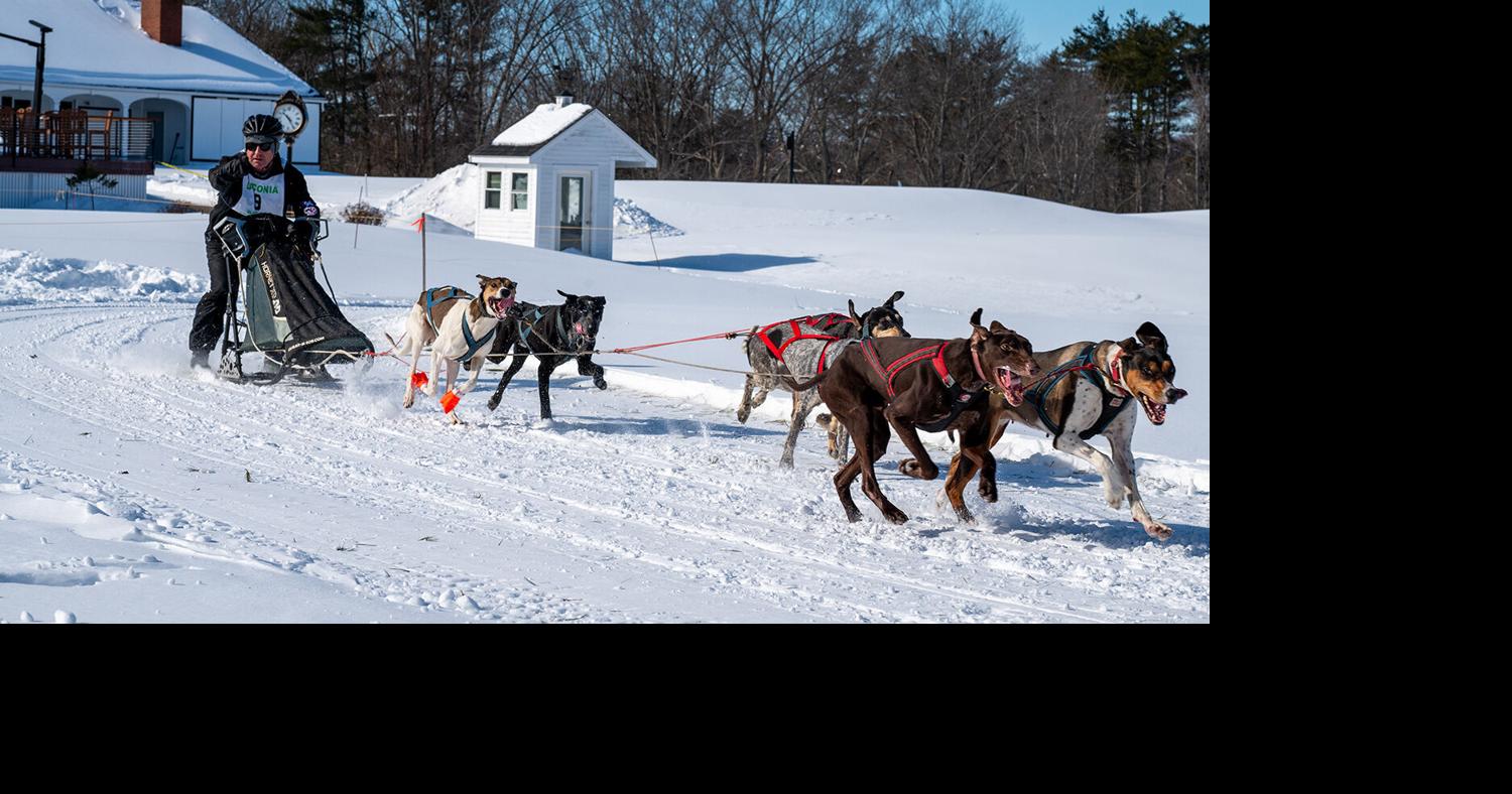 Laconia sled dog derby gets new leash on life | Outdoors | unionleader.com