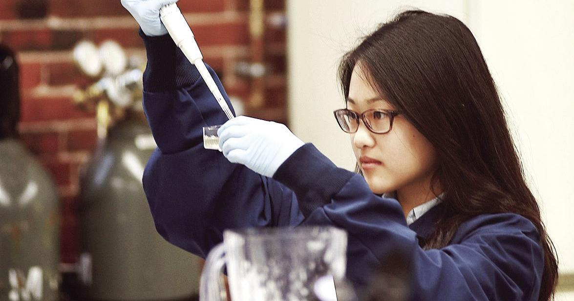 ARMI effort to grow human organs in NH could see first tissue ...