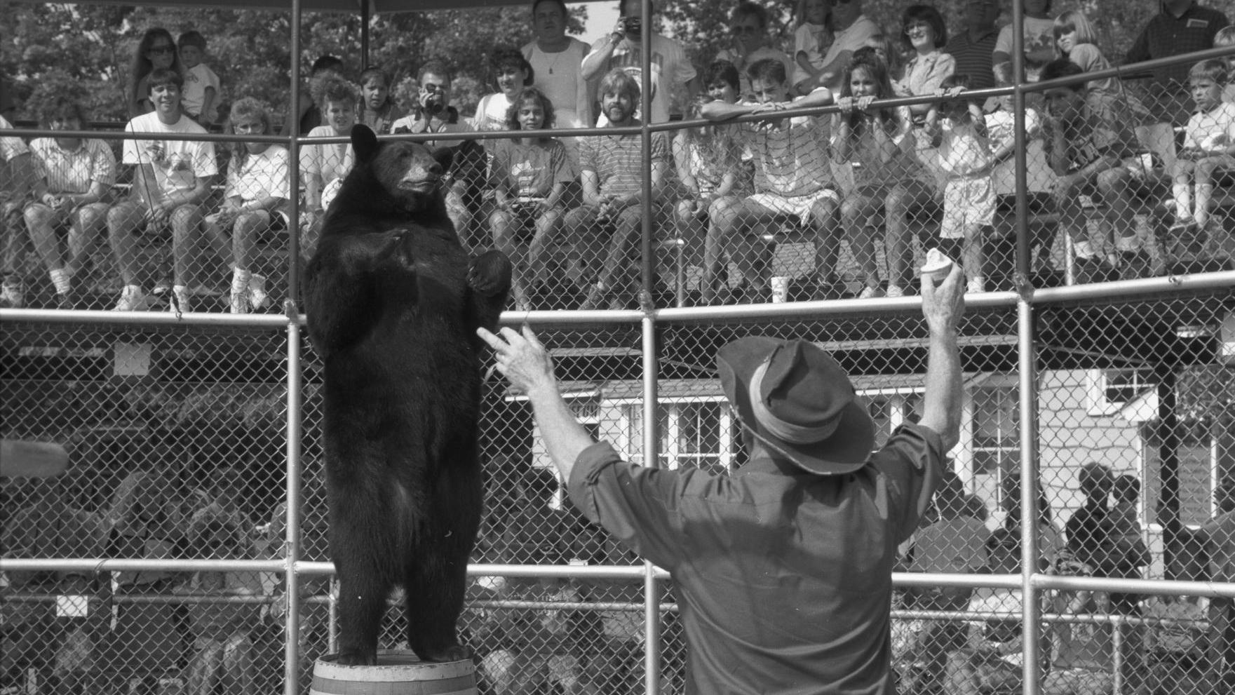 Clark's Bears: The side shows may change, but the bears remain | Travel ...