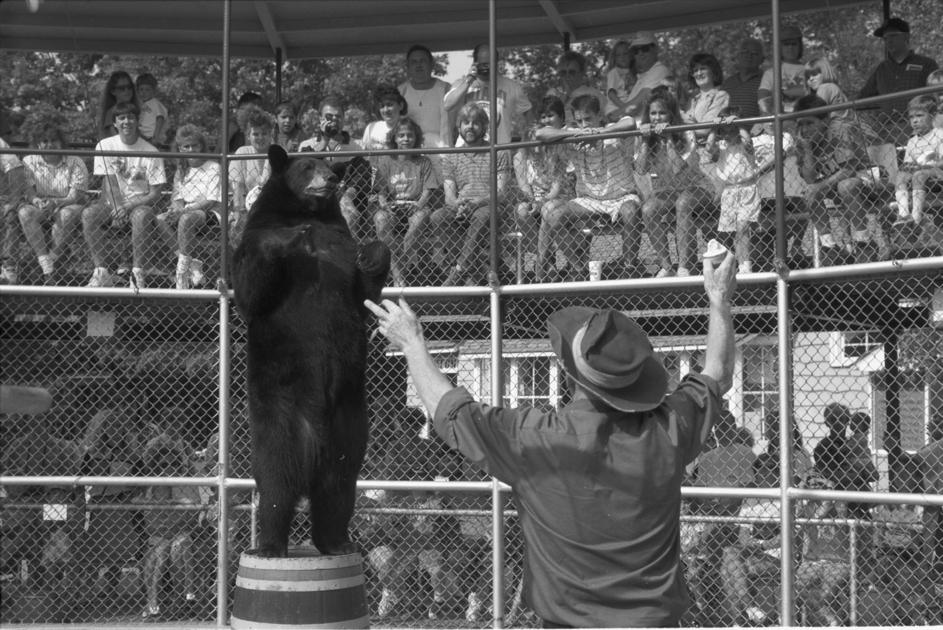 Clark's Bears: The side shows may change, but the bears remain | Travel ...