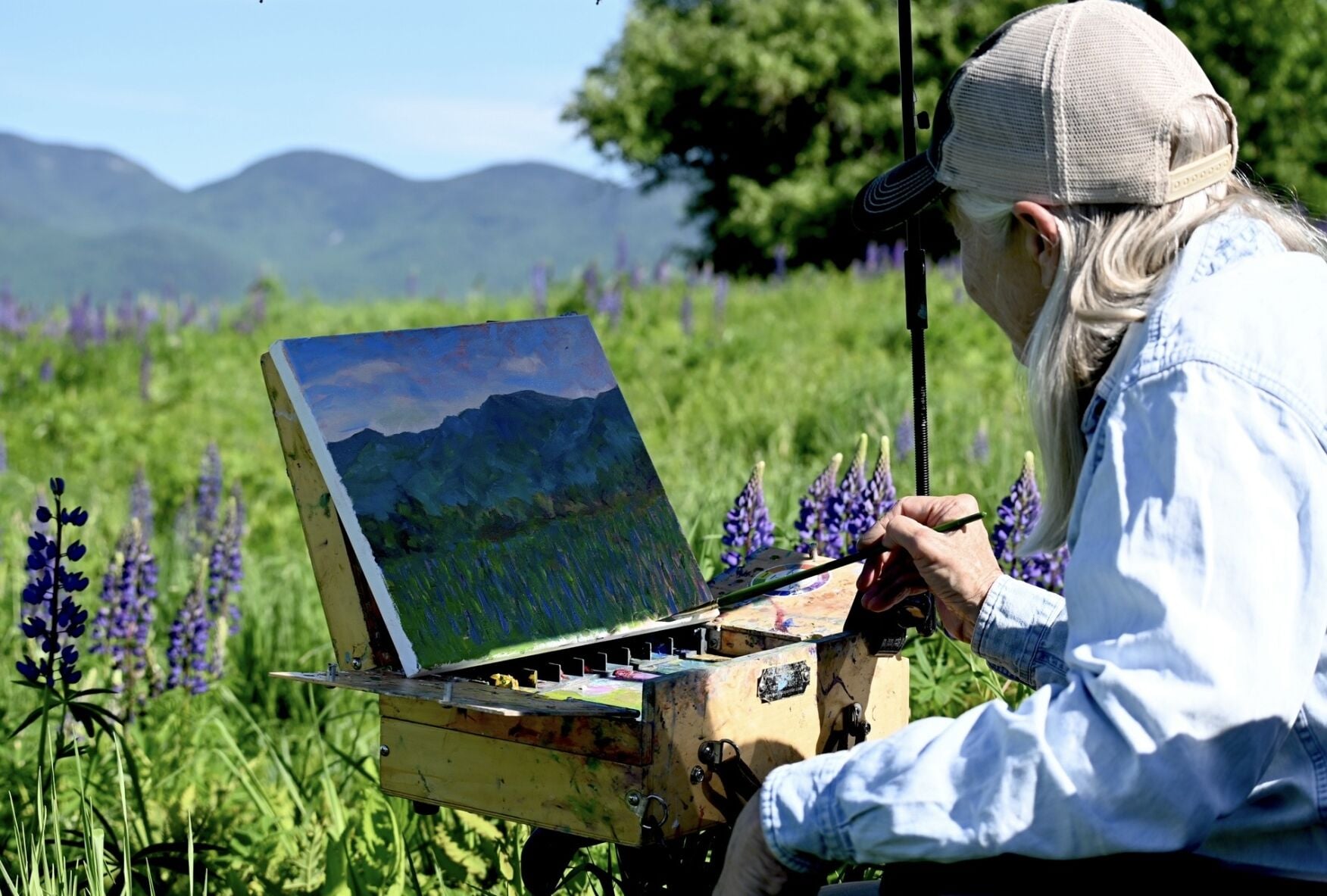 Lupines in bloom | Outdoors | unionleader.com