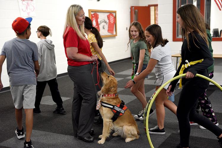 Manchester schools use therapy dogs to help students in need ...