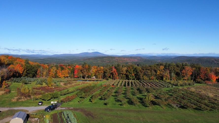 Contoocook farm offers up a fall experience for families | Dining & Food | unionleader.com