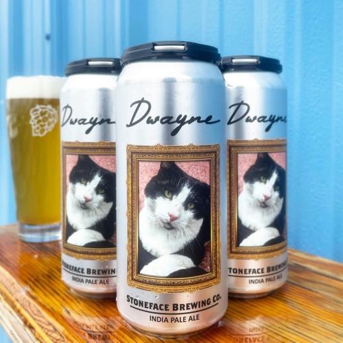 cat beer