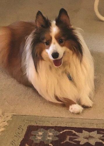 Heloise:Cleaning pesky plastic containers | Human Interest ...