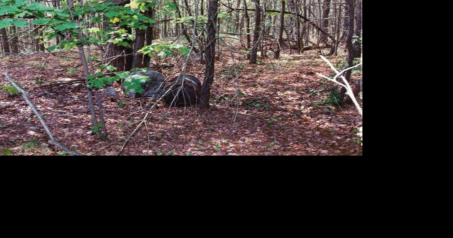 Timeline of Terry Peder Rasmussen | Crime | unionleader.com