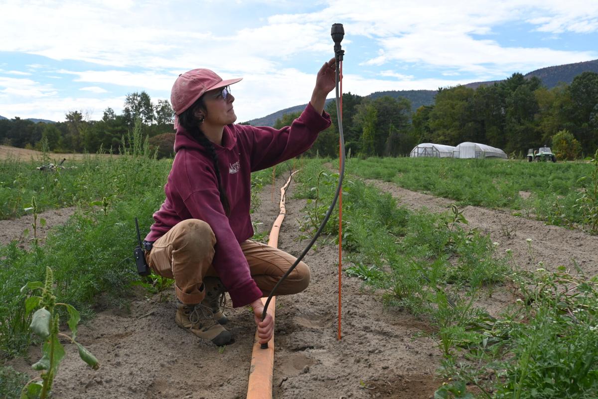 NH farms forced to get creative as drought threatens crops | Weather ...