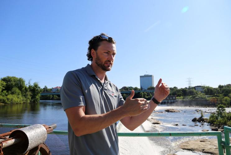 The incredible journey of the American eel | Animals | unionleader.com