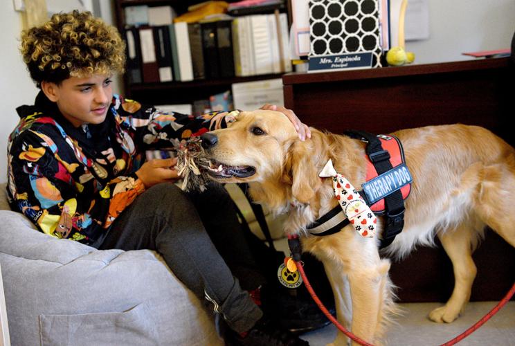 Manchester schools use therapy dogs to help students in need ...