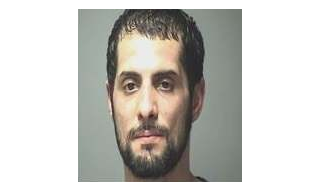 Manchester cop hurt while trying to arrest tree climber | Crime ...