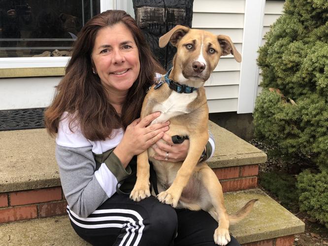 Pet owners on the hunt for favorite treats during pandemic shortage ...