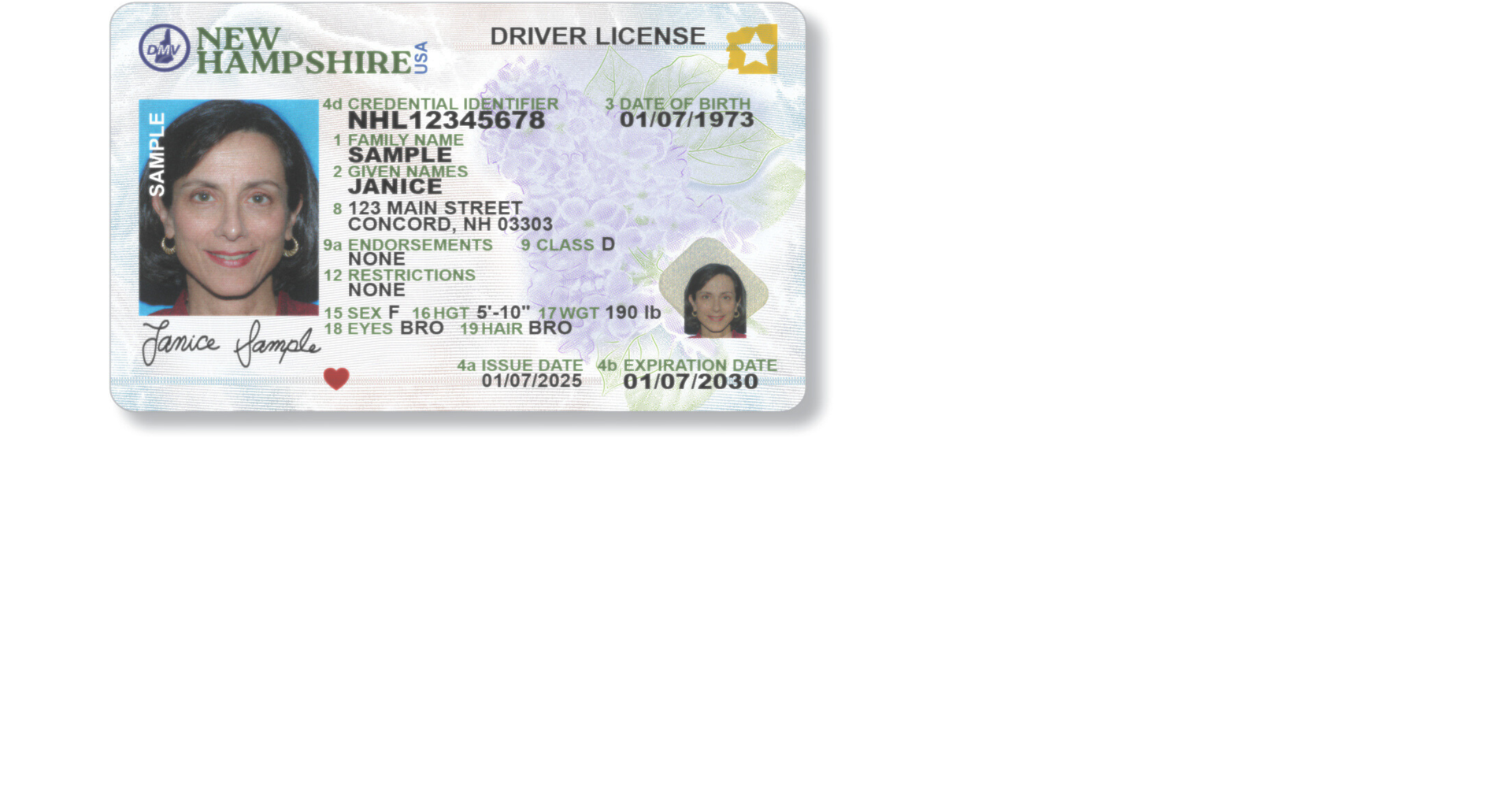 NH driver's licenses get a makeover | Public Safety | unionleader.com