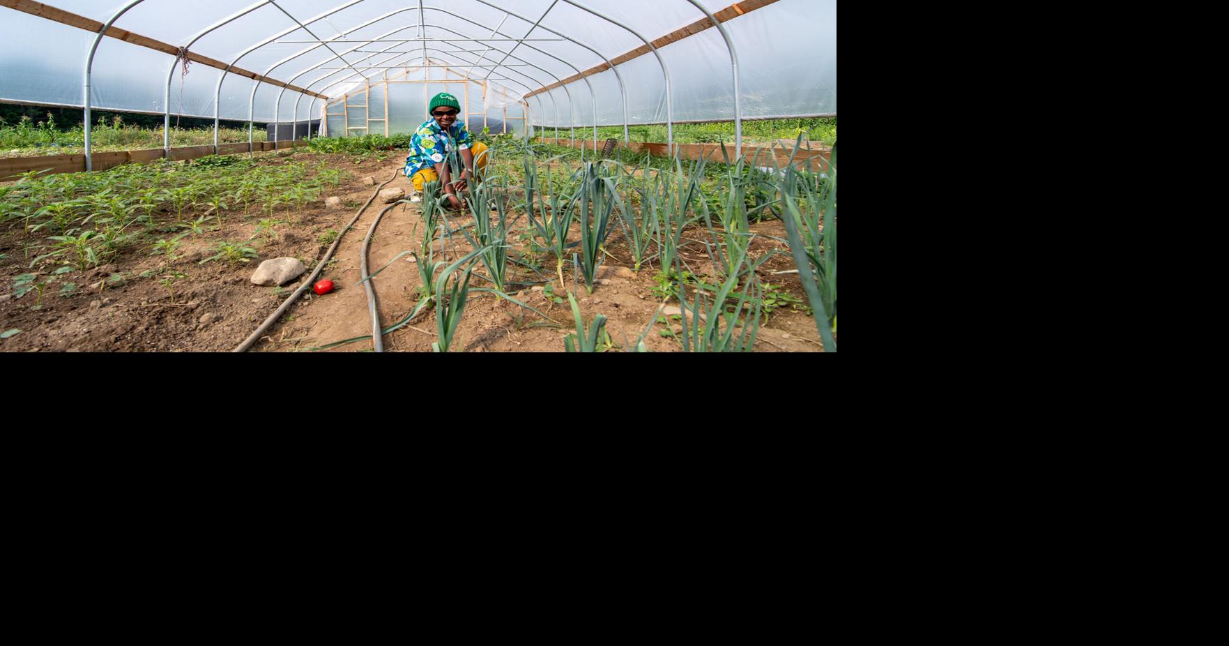 Farming program gives new Americans a growth opportunity | Human ...