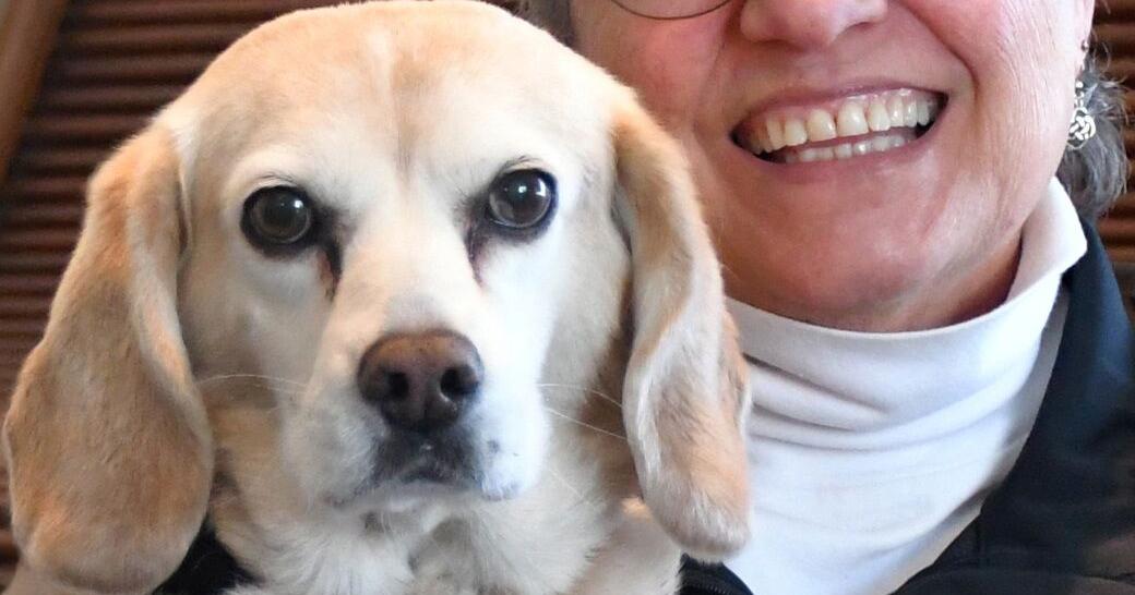 Lisa Dennison: Animals deserve a system built on expertise ...