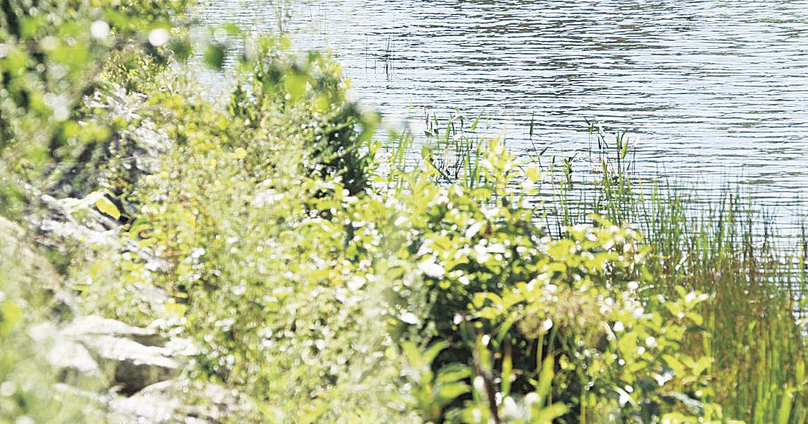 Manchester Water Works to sell acreage; towns to lose revenue ...