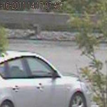 seymour chase epping