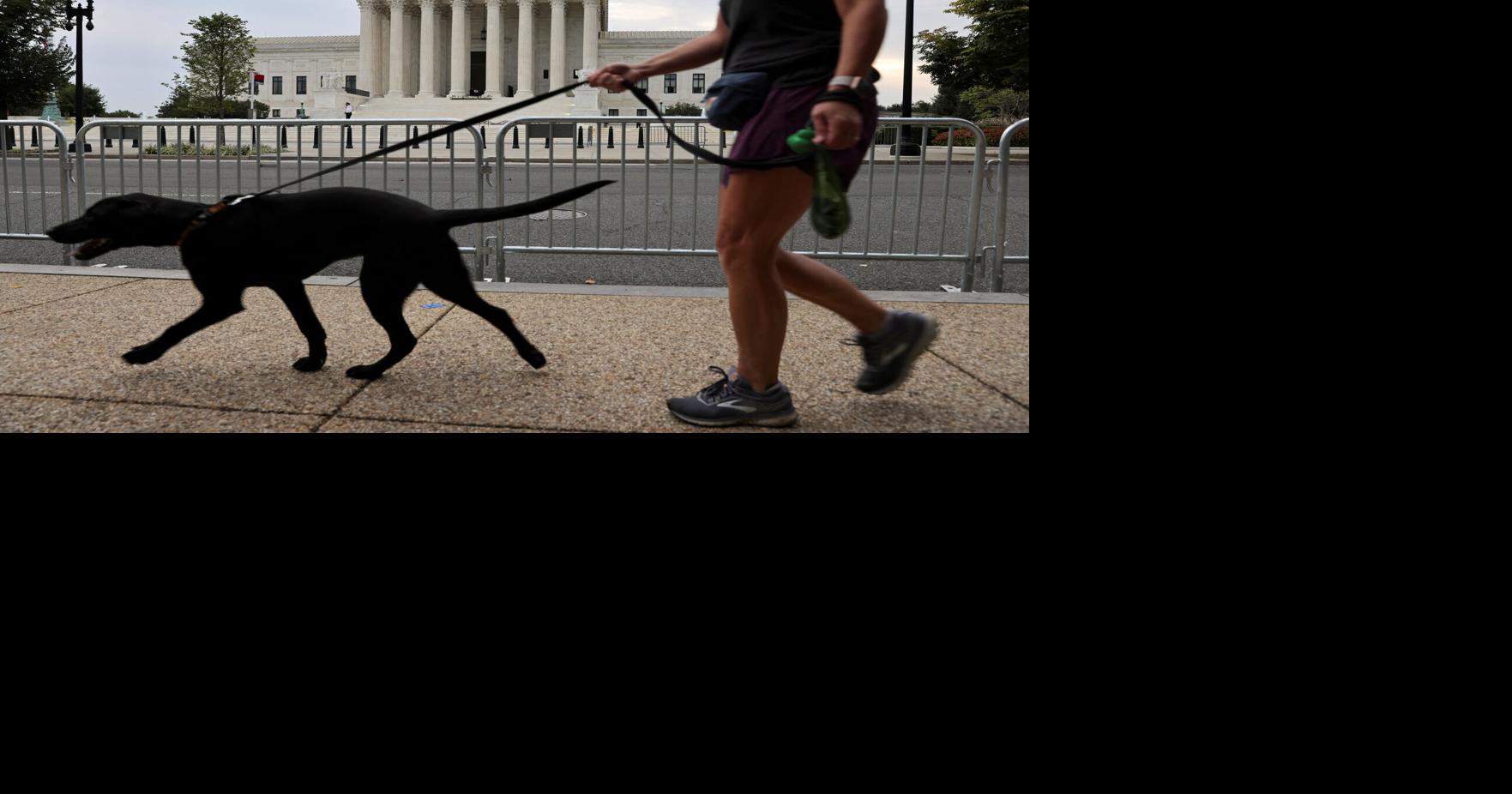 Supreme Court chews on Jack Daniel's fight against parody dog toy ...