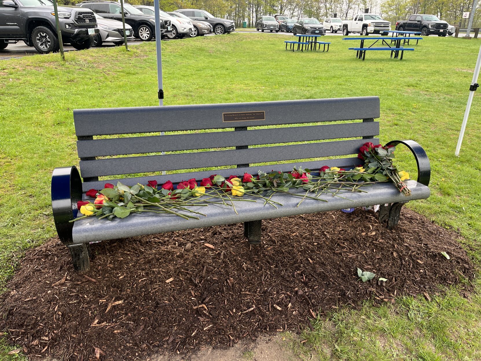 Memorial bench for Londonderry High tennis star dedicated | Human ...