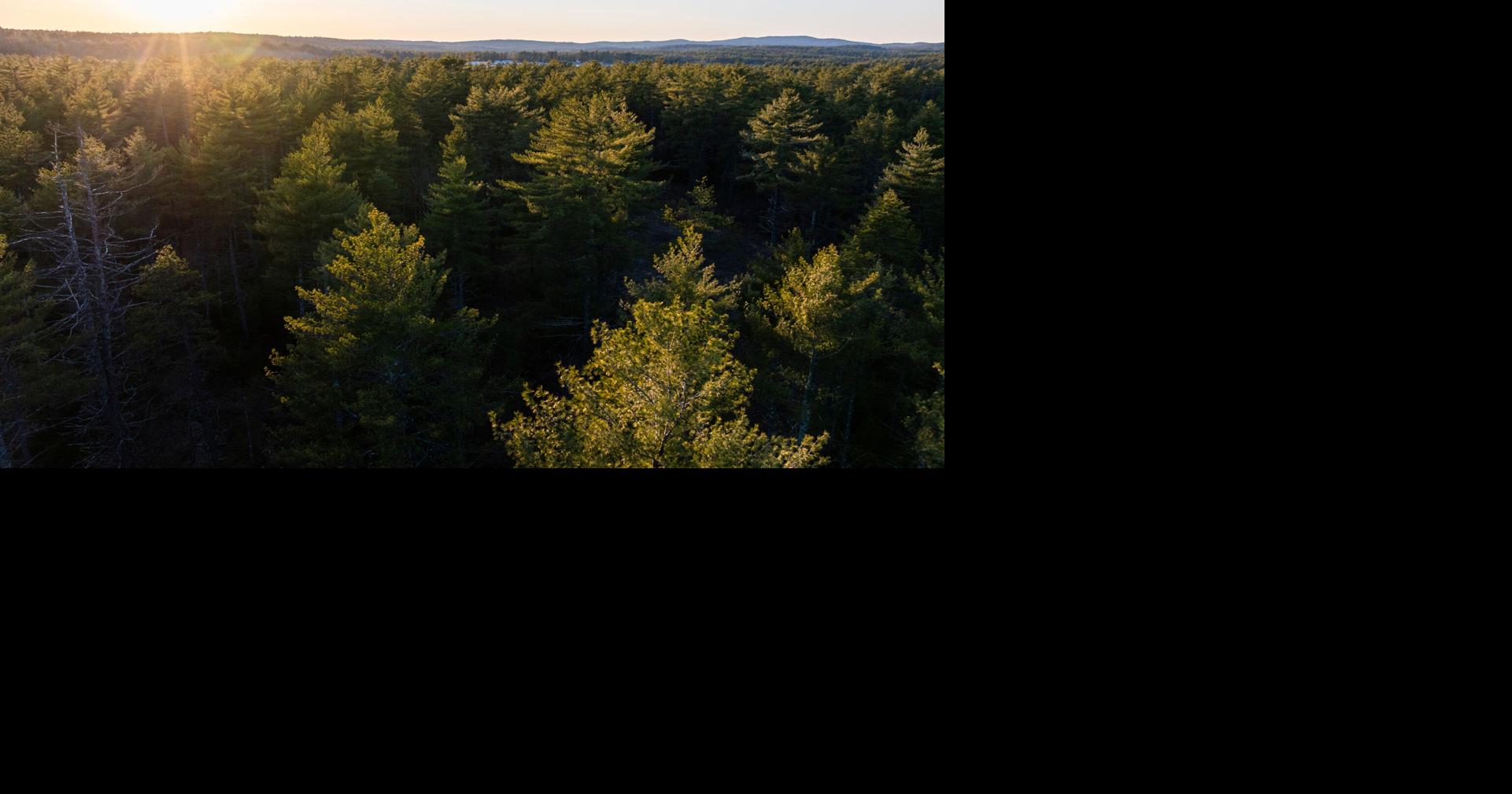 SELT completes the conservation of the Robert Rix Family Forest in ...