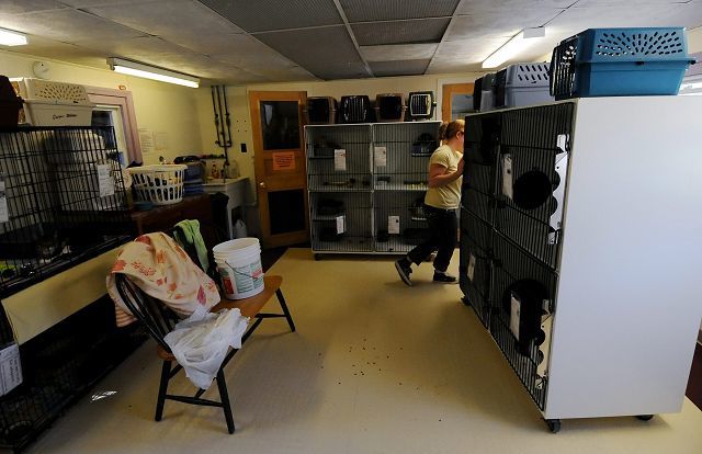 Concord-Merrimack SPCA nearly halfway to $2 million, driven by donation ...