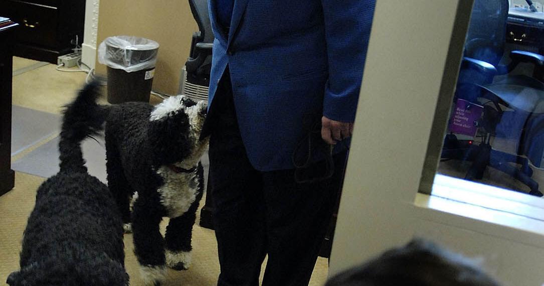 A dog’s congressional life: Babydog to Dakota, Deco to Splash and more ...