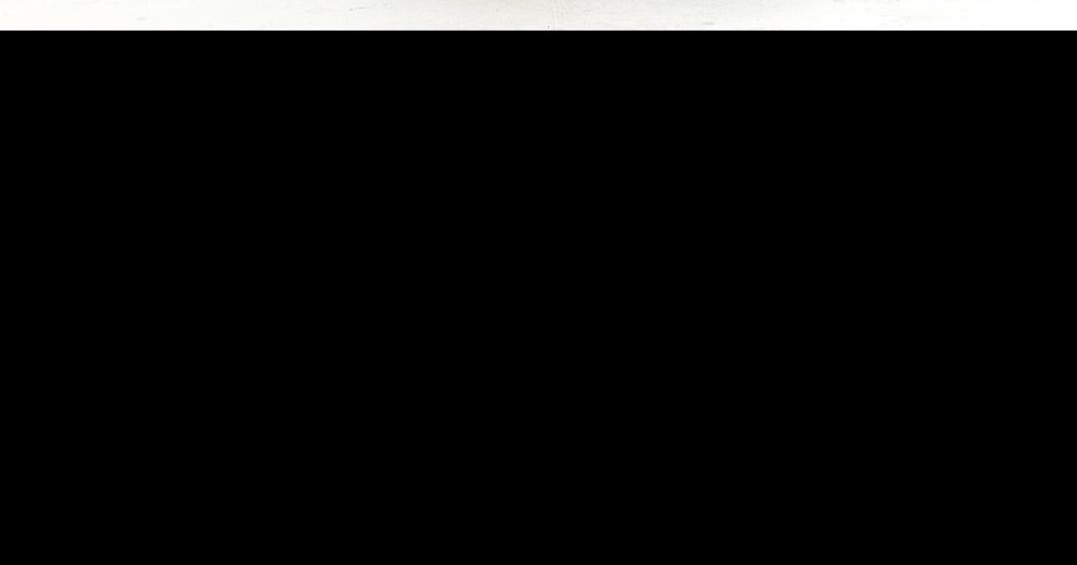 Suzanne M. Delaney • 39 • Nashua | forty | unionleader.com