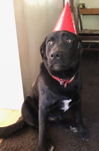 Heloise: Ask what Mom wants before gift-giving | Human Interest ...