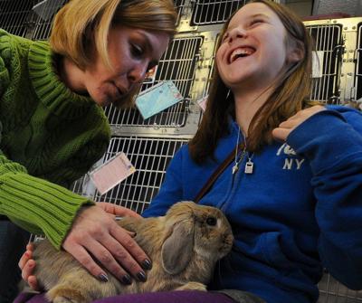 Abandoned rabbits available for adoption bring smiles to locals ...