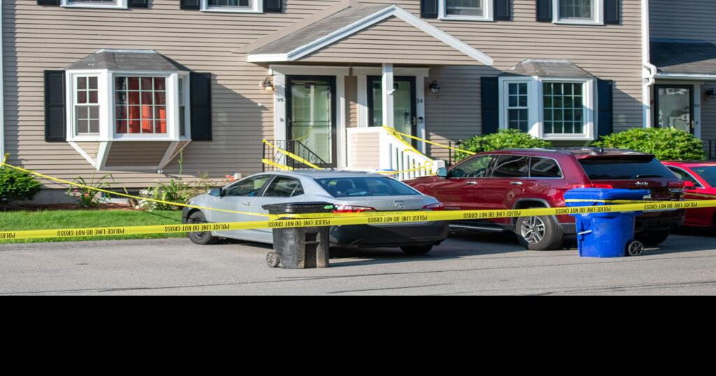 Autopsy shows Hudson mom died of blunt-force trauma | Crime ...