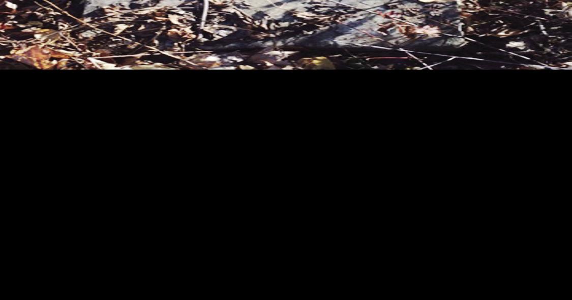 Dave Anderson's Forest Journal: NH's overgrown cemeteries stand as ...