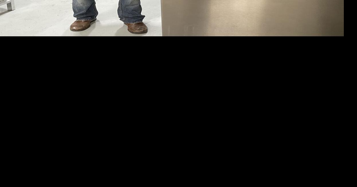 Wrap City sandwich chain's potato chips coming to a store near you ...