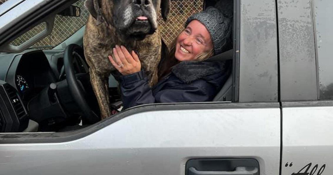 ‘Someone adopt this hot mess!’ 110-pound dog wins fans after NC shelter ...